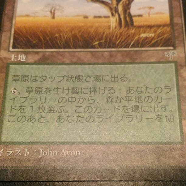 MTG　エラーカード