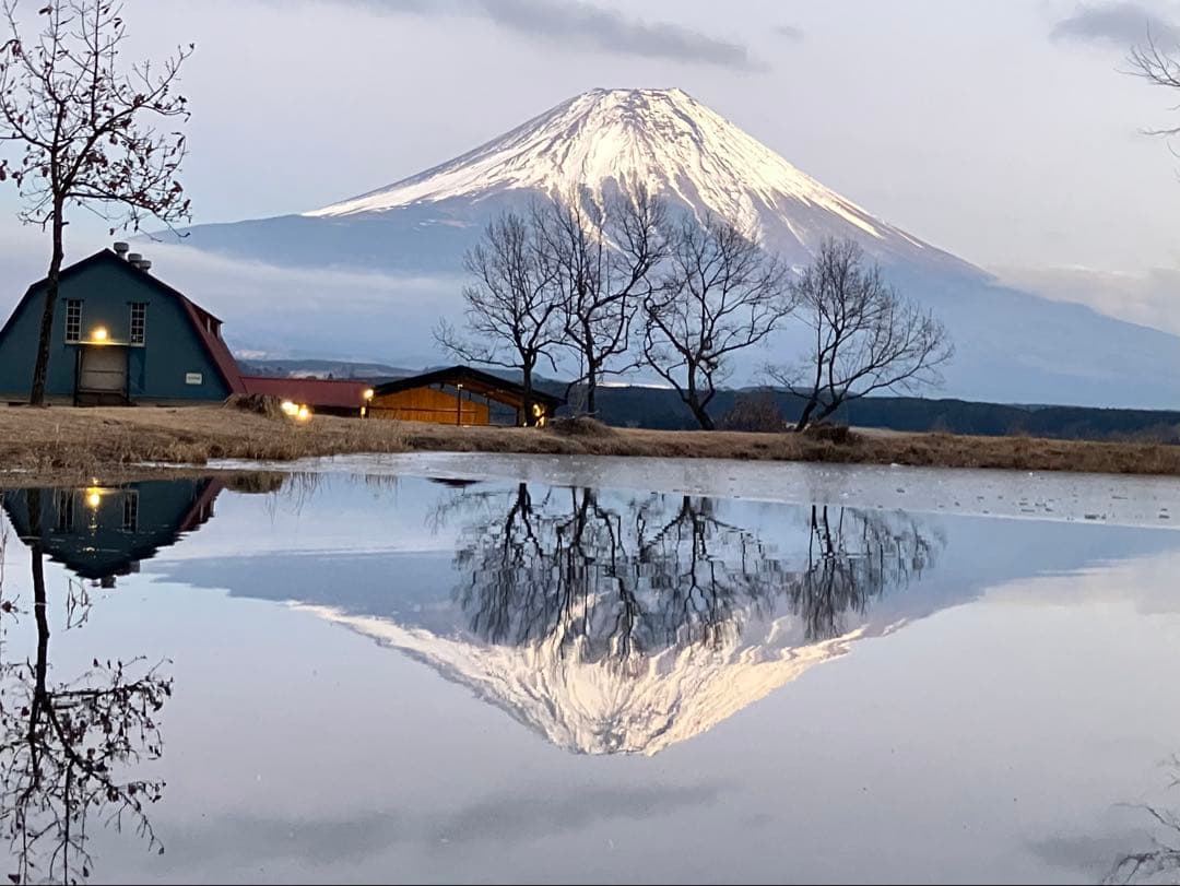 取説付き《フォックスベースevo仕様》二股フレームらくらく設営・快適空間⭐︎