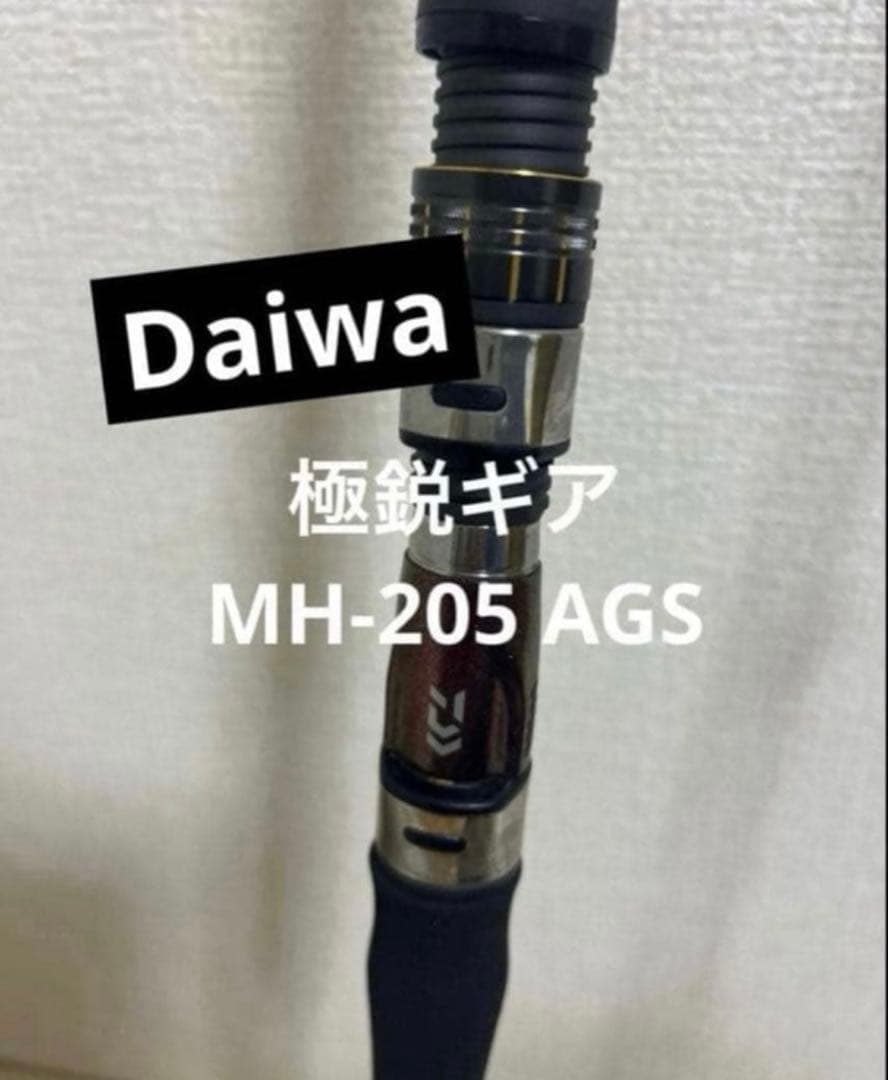 Daiwa ダイワ 極鋭ギア　MH-205 AGS 船竿