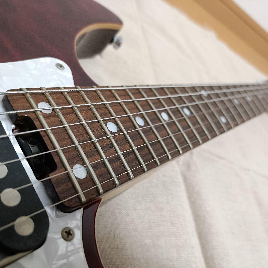 【引き取り限定】SCHECTER SD-2-24-AL カスタム シェクター