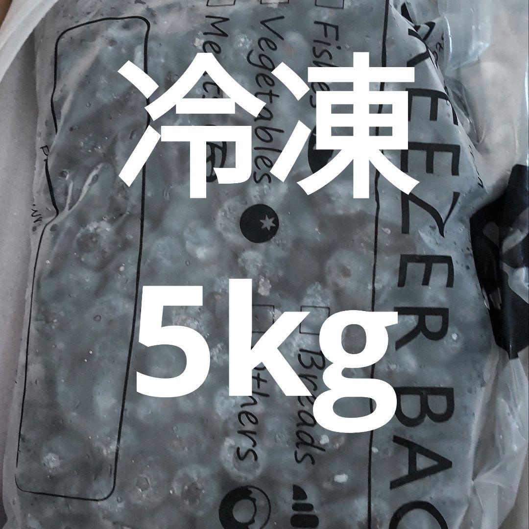 ★完熟冷凍ブルーベリー5kg★