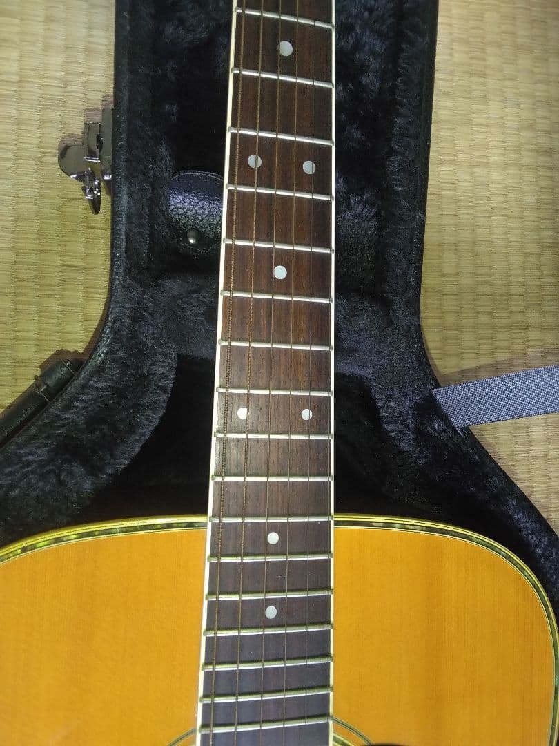 最終値引　TOKAI キャツアイ CE-280D 1981年日本製