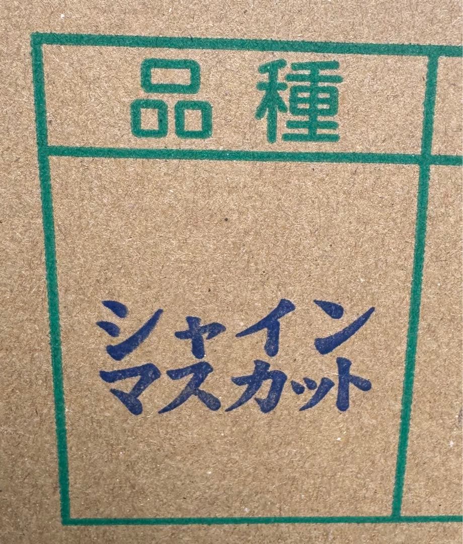 山梨県産JA共選品シャインマスカット⭐️8房入り箱込み約6.3キロ
