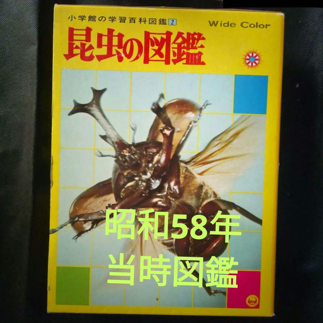 昆虫図鑑付録未使用折りたたみポスター 付海外カブトムシ＆クワガタ昭和58年当時品