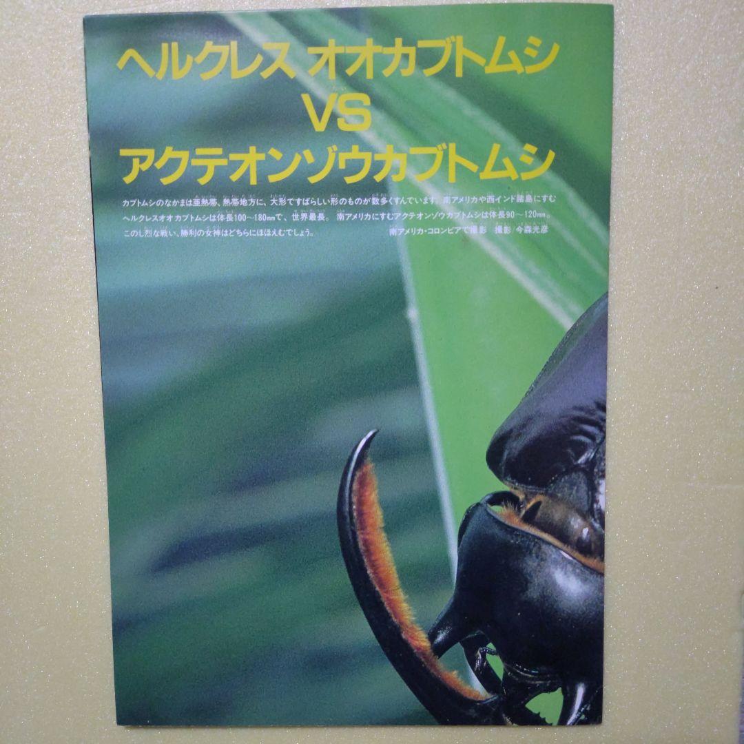 昆虫図鑑付録未使用折りたたみポスター 付海外カブトムシ＆クワガタ昭和58年当時品