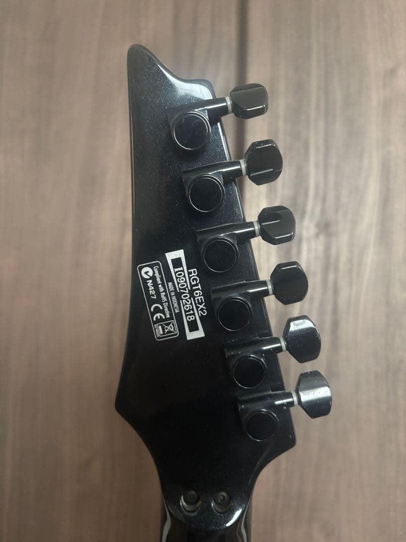 Ibanez RGT6EX2 EMGピックアップ