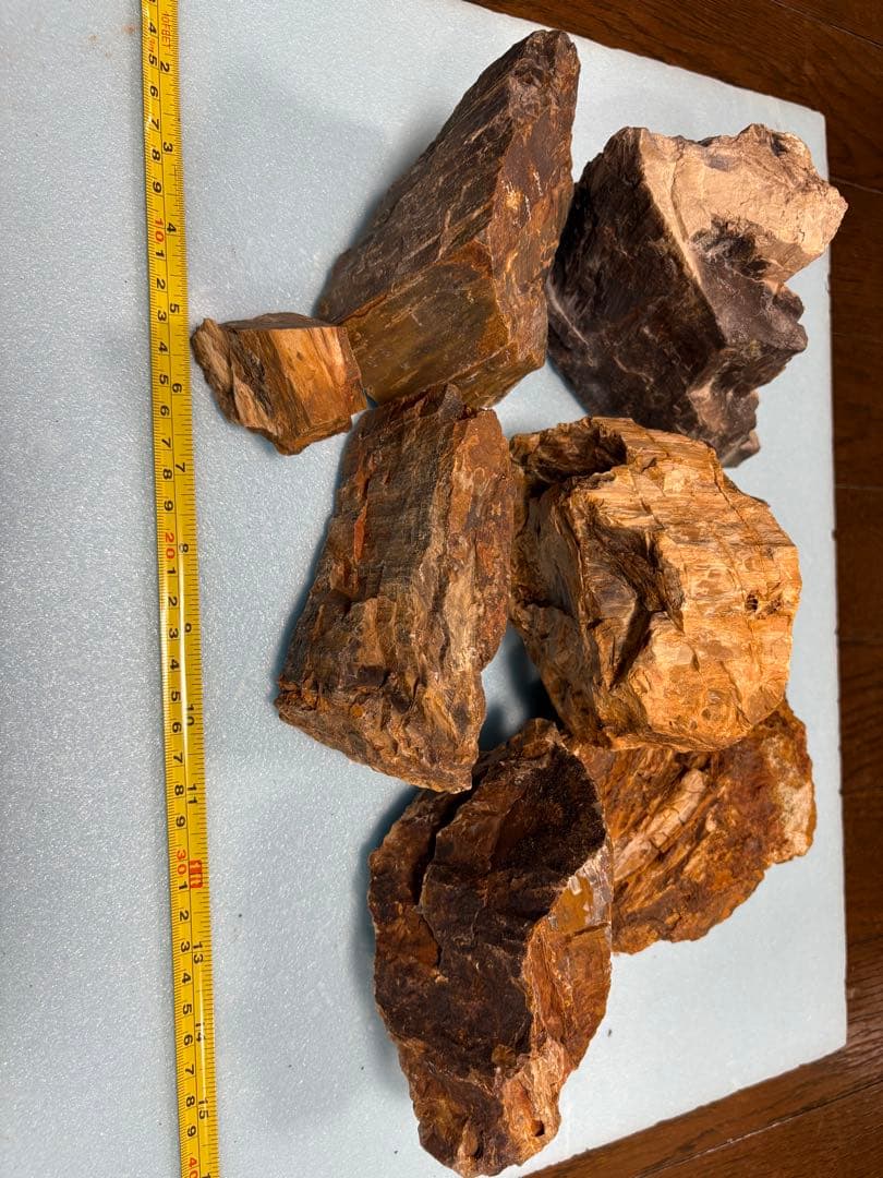 木化石　7個4.3kg（天然石 茶系色 不規則な形状）