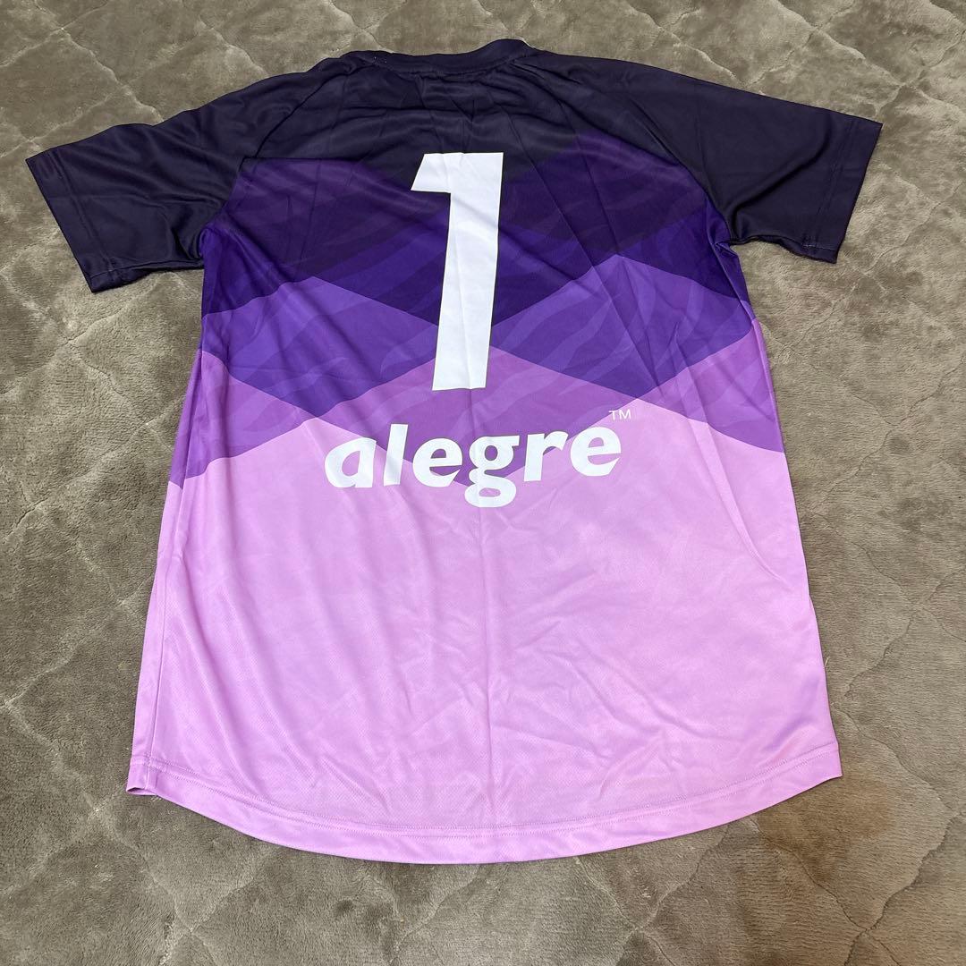 サッカーユニフォーム　11枚セット　Fチャンネル　alegre