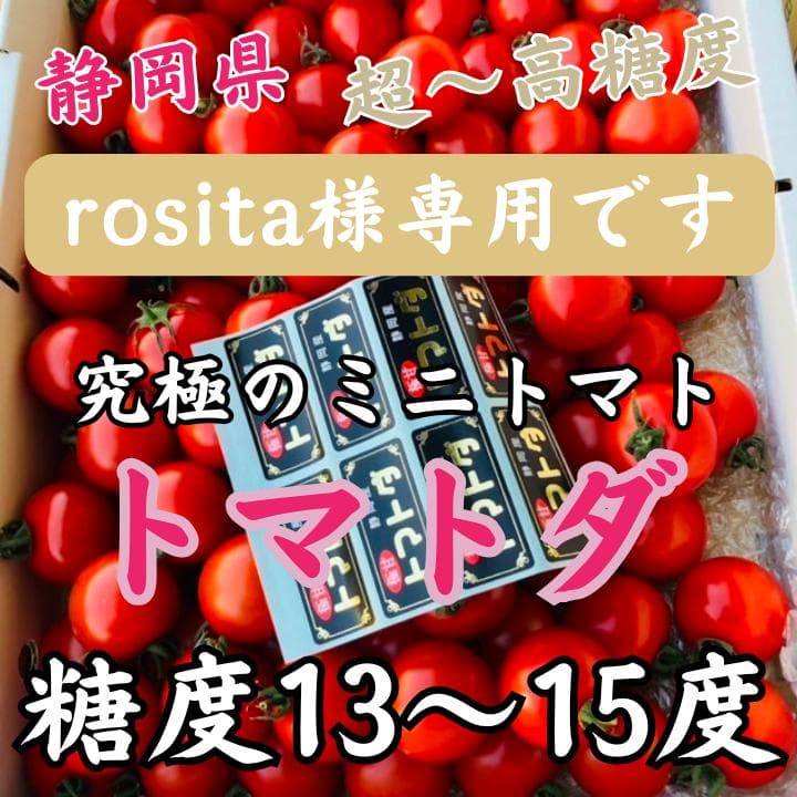 静岡産　トマトダ　高糖度　13~15度　2kg