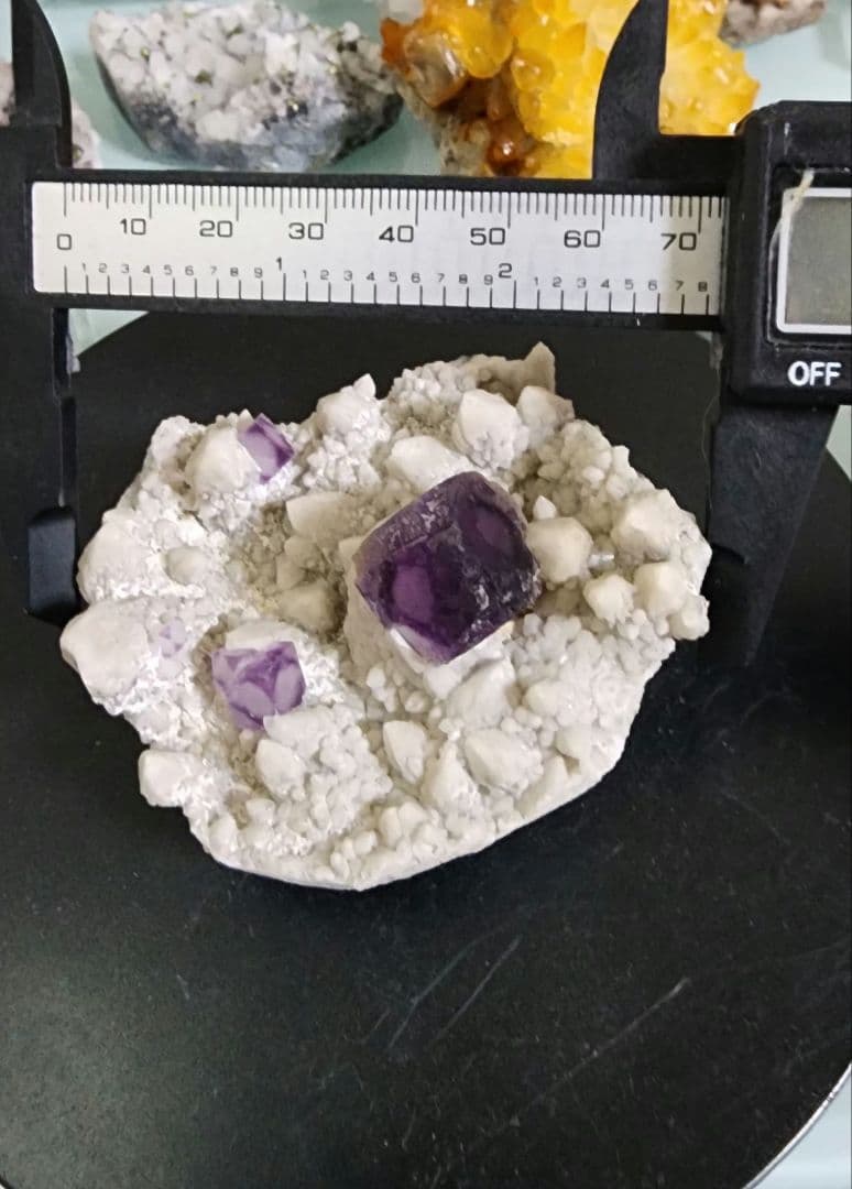 エイリアンアイフローライト