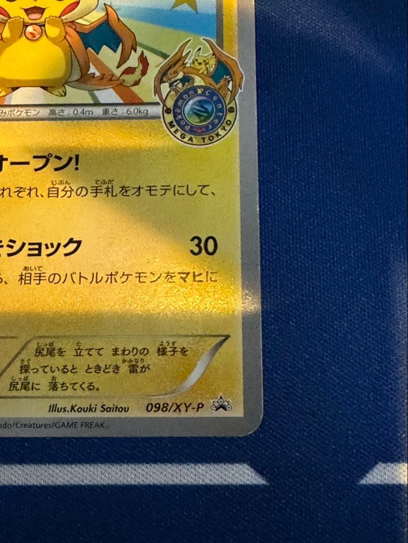 倉*K様 メガトウキョーのピカチュウ