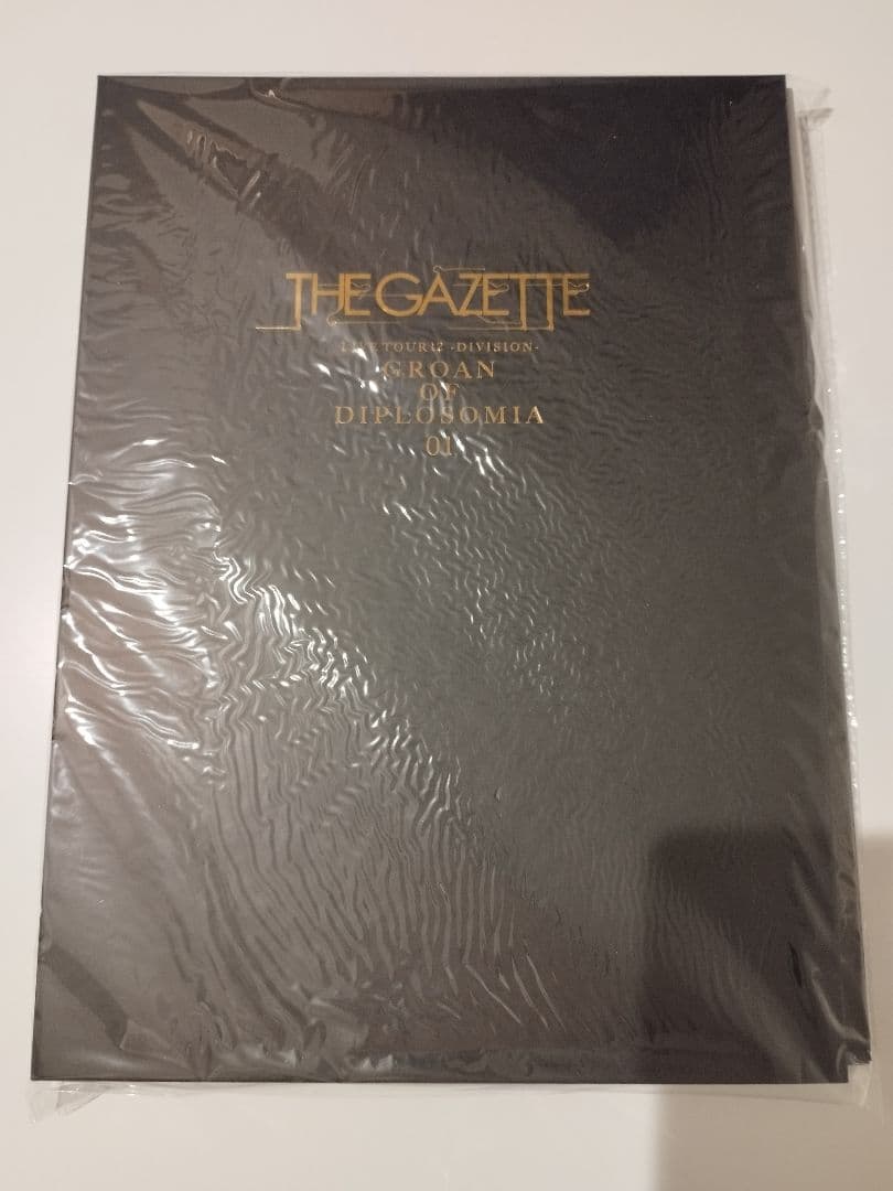the GazettE パンフレット 写真集