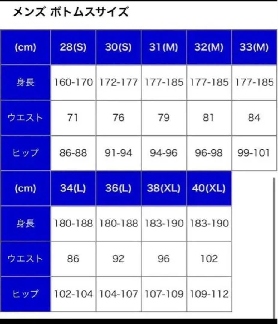 GORE-TEX素材のVOLCOM製スノーボードパンツ size S