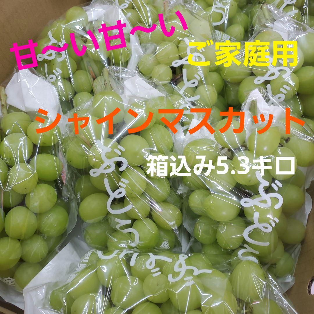 7️⃣ 山梨県産 シャインマスカット １０房入り 箱込み5.3キロ