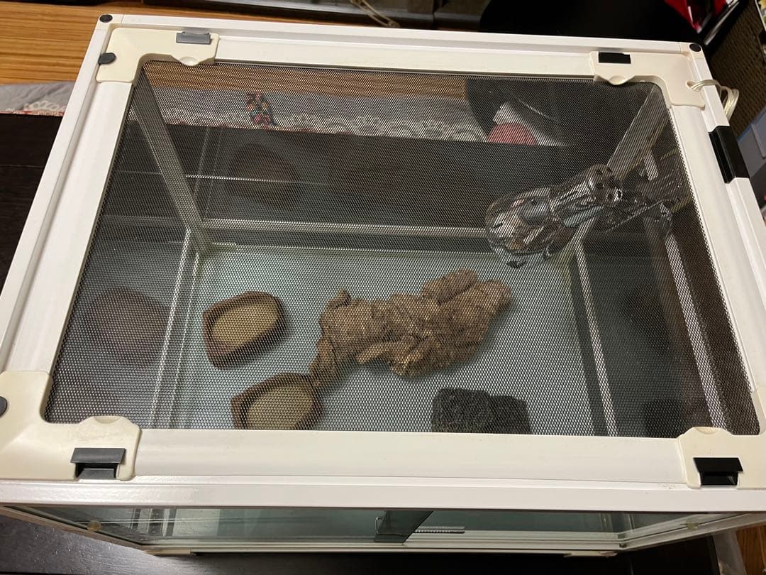 ★爬虫類飼育 水槽セット 飼育ケージ(おまけ付き)