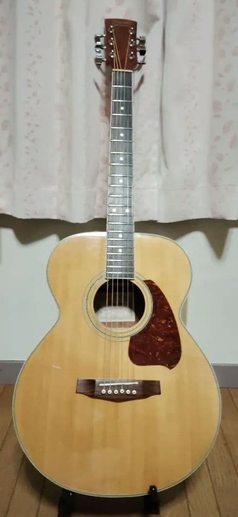 Ibanez PF-200NT アコースティックギター ブビンガ