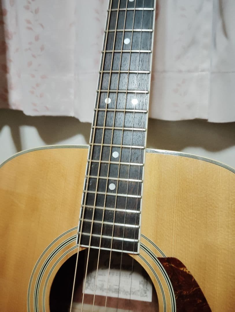Ibanez PF-200NT アコースティックギター ブビンガ