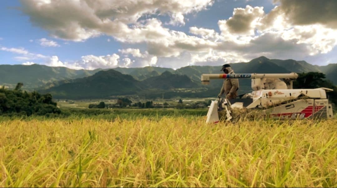 R6年　自然栽培　ミズホチカラ　もちもち米粉5kg