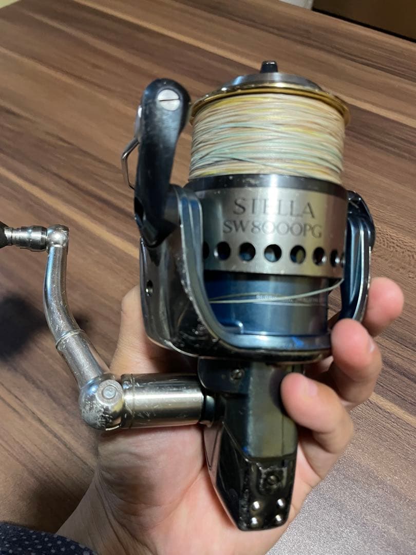 リール STELLA SW 8000PG