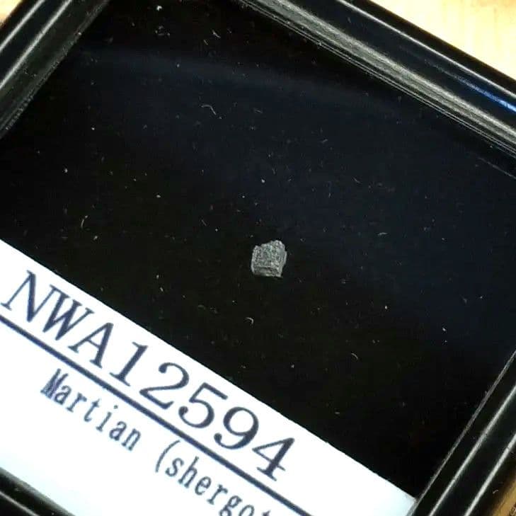 火星の石！シャーッゴッタイト　 NWA 12594　隕石標本