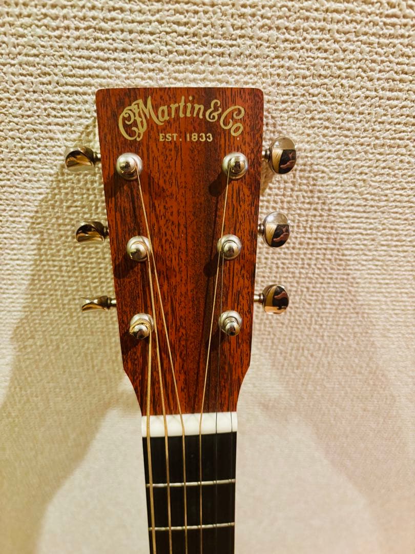Martin & Co. アコースティックギター ギターケース付き
