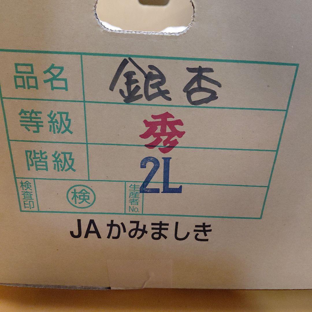 銀杏 2L 10kg