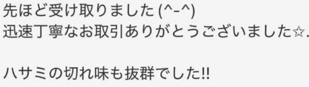 カーブシザーカーブセニングシザースキバサミトリマートリミングペットママミングも◎