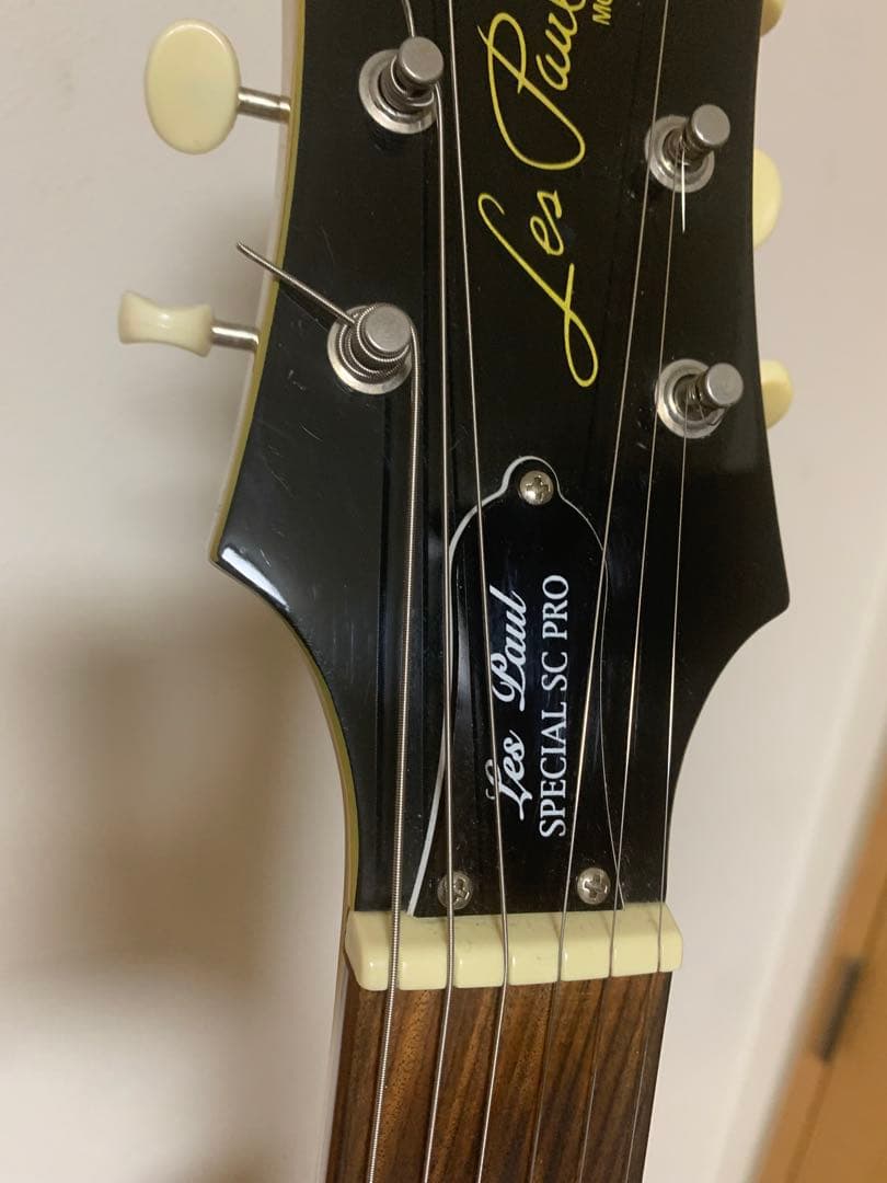 Epiphone Les Paul Special ケース 付
