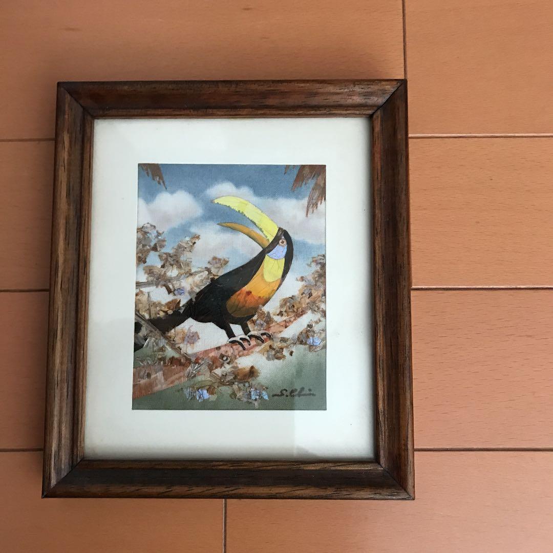 Shuya Chiba (千葉修也)  蝶画Toucan Bird (オオハシ)