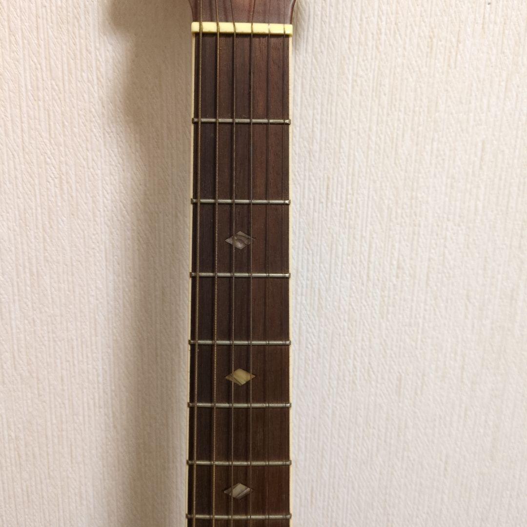 Pro martin ea350grs エレアコ ギター グリーン
