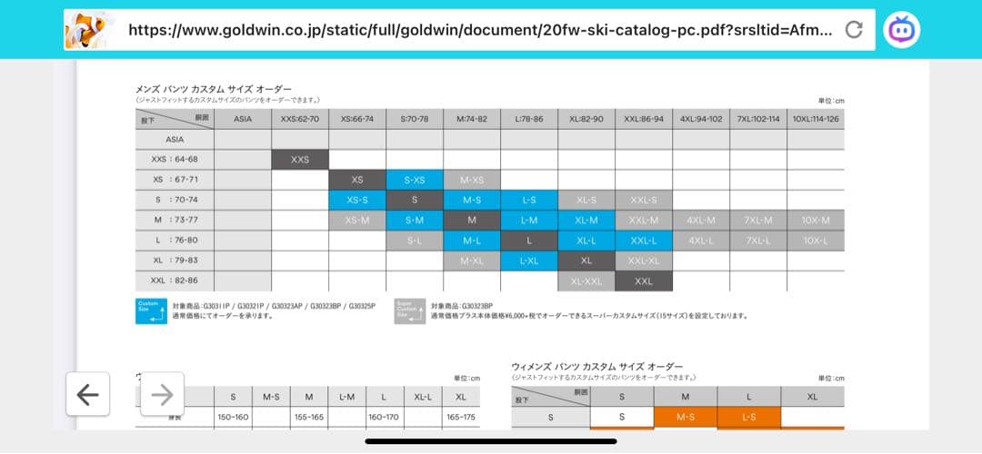 GOLDWIN GORE-TEX PANTS, G31811X SMサイズ