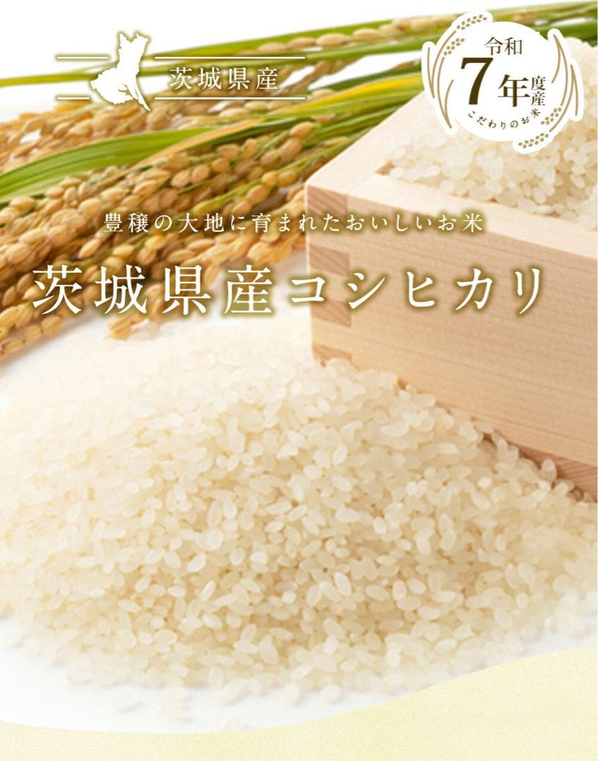 茨城県産コシヒカリ 令和7年産