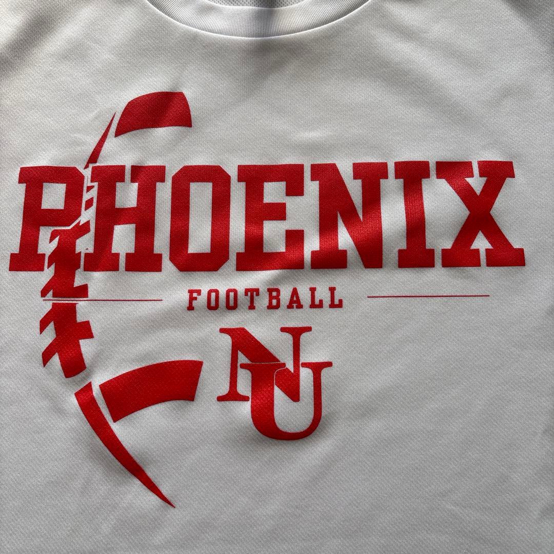 日本大学”PHOENIX” 部員限定トレーニングTシャツ Mサイズ【非売品】