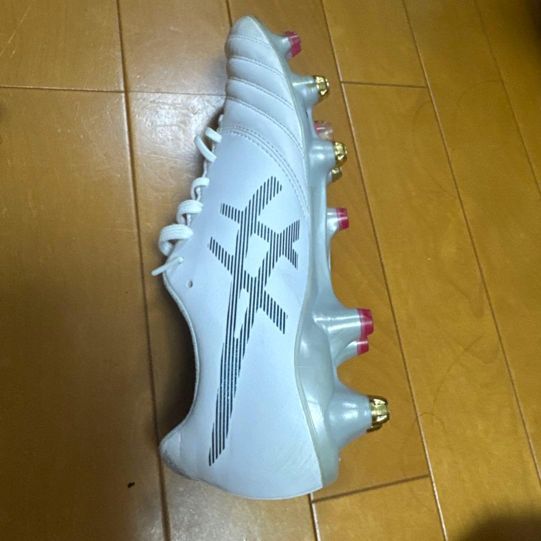 取替式ASICS DS LIGHT X-Fly PRO 25.0cm