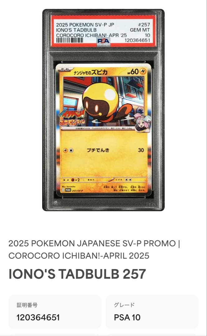 2連番　ナンジャモのズピカ ナンジャモのハラバリーex PSA10