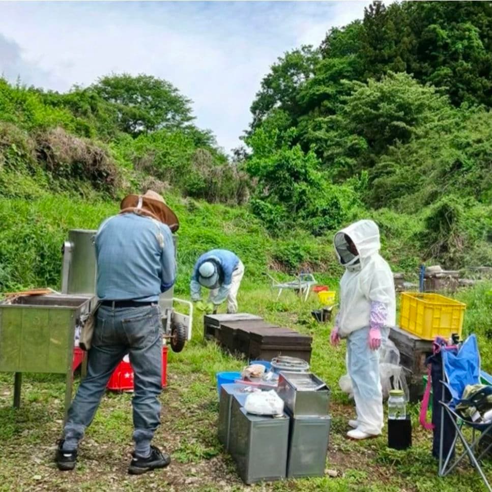 a150n 【八ヶ岳高原はちみつ 】アカシア 国産天然蜂蜜 1kg 新津養蜂園