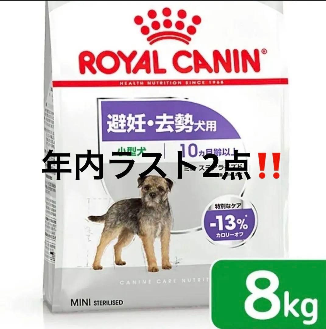 16日まで限定価格‼️ミニステアライズド8kg