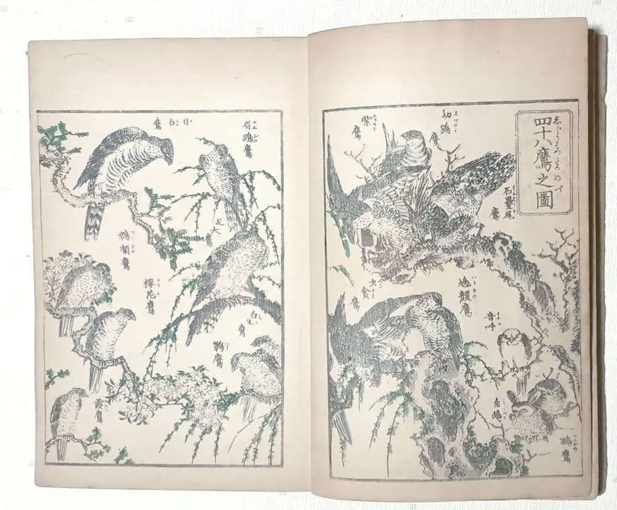 北斎画宛二編（色摺版画本)葛飾北斎画明治初期、後摺再板になります（初版は天保3年