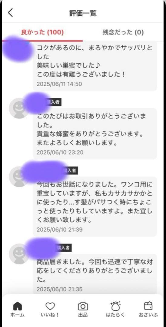りなんてぃー 日本ミツバチ とろとろはちみつ+コムハニー 無添加抗生物質無