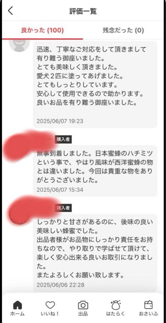 りなんてぃー 日本ミツバチ とろとろはちみつ+コムハニー 無添加抗生物質無