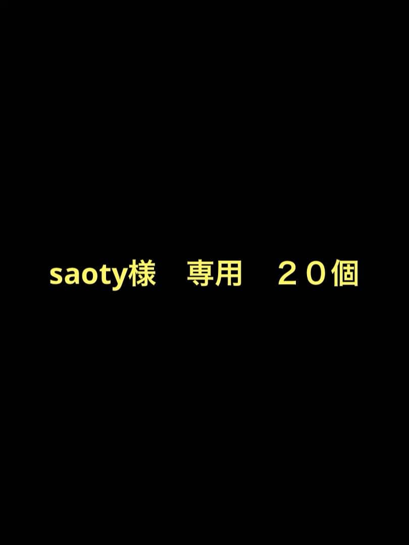 saoty様　　専用ページ ２０個　防災ヘルメット ホワイト 丸型