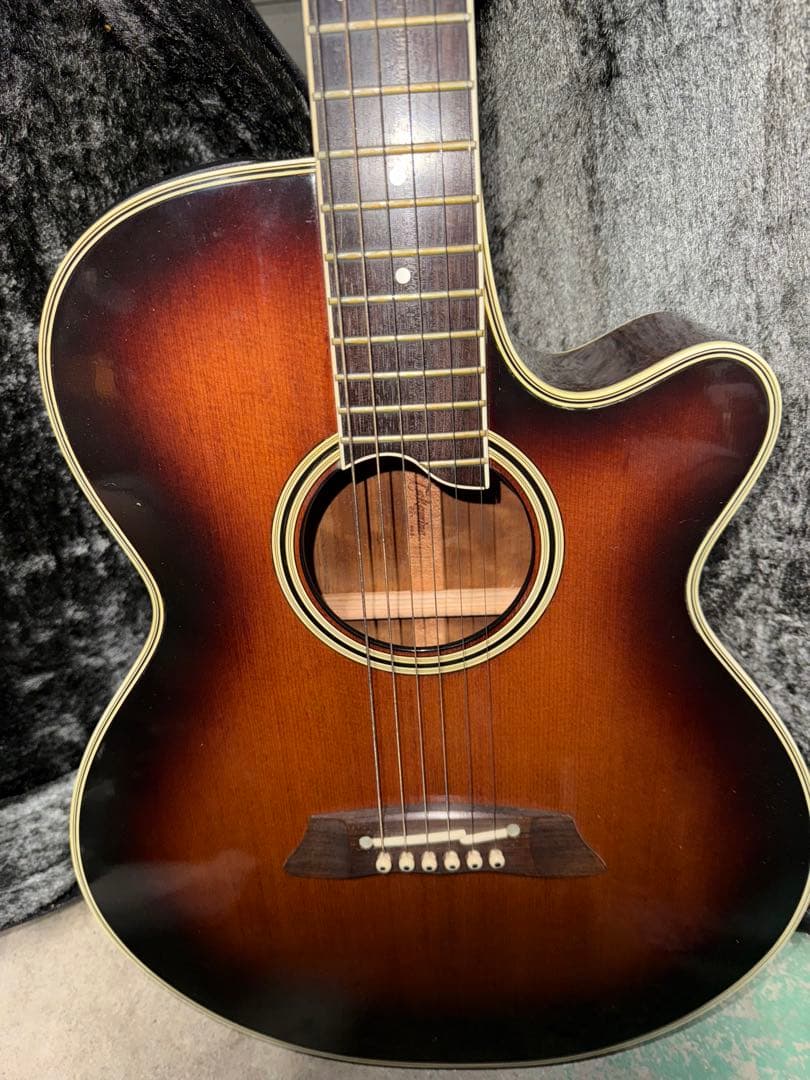 タカミネ takamine ギター　PT-108