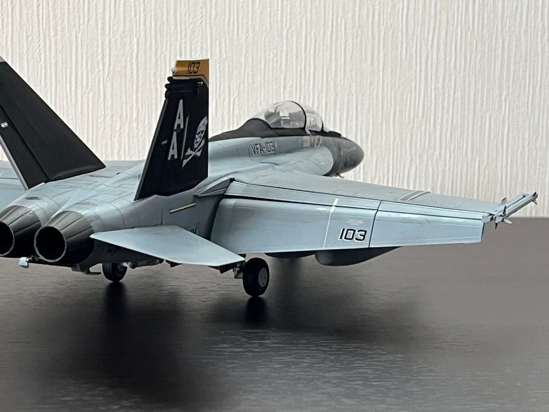 Hasegawa 1/48 F/A-18F SUPER HORNET 完成品