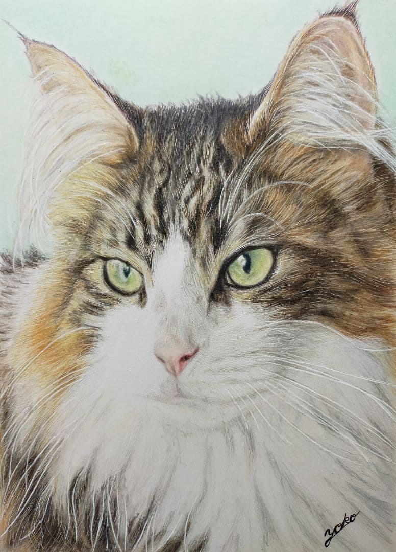専用　色鉛筆画　絵画　原画　愛猫　似顔絵　オーダーページです