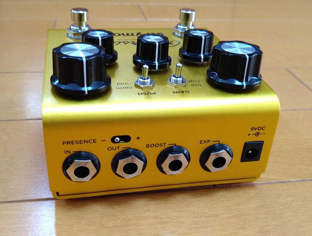 ギター STRYMON side