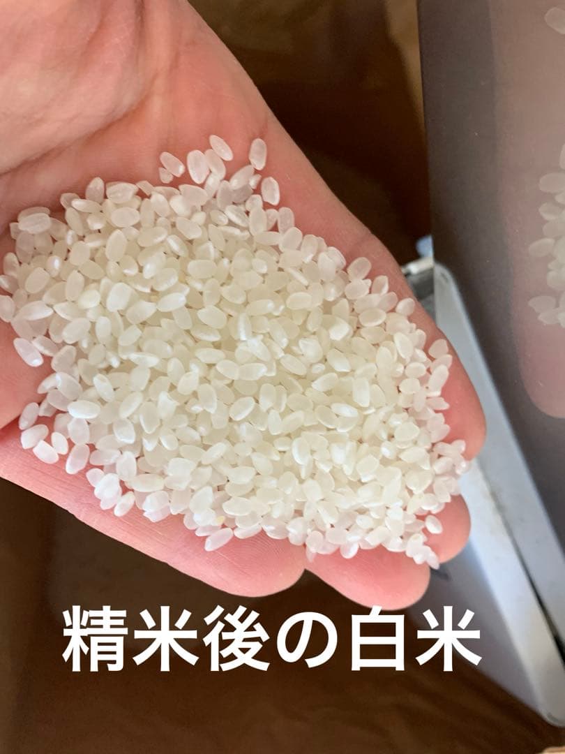 令和7年度産　新米ヒノヒカリ　玄米10kg(送料込)減農薬のお米