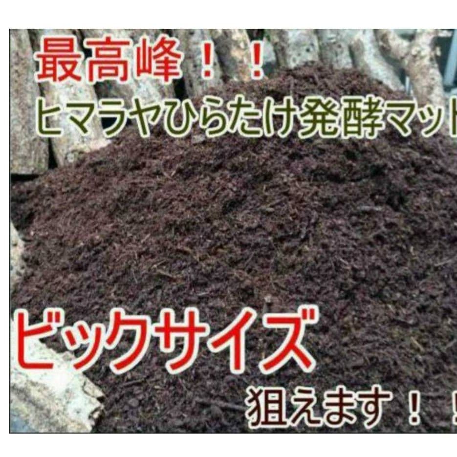 たっぷり200リットル☆大量飼育に！カブトムシ幼虫専用発酵マット☆産卵にも抜群！