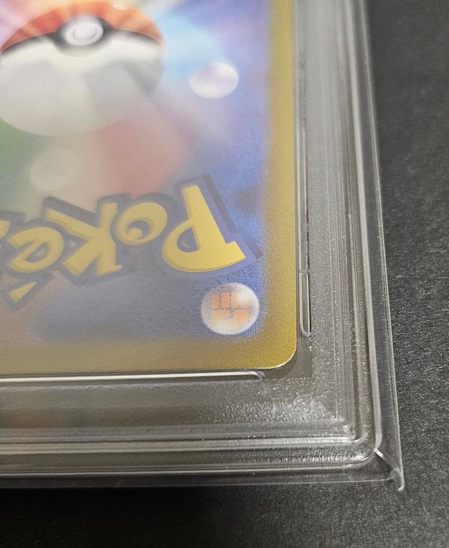 ポケモンカードゲーム　テラパゴスex　SAR　PSA10