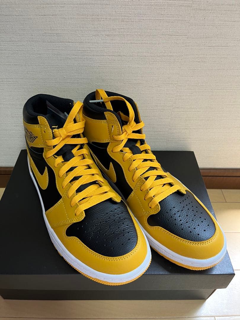 シューズ(男性用) NIKE AIR JORDAN 1 HIGH G 27.5cm