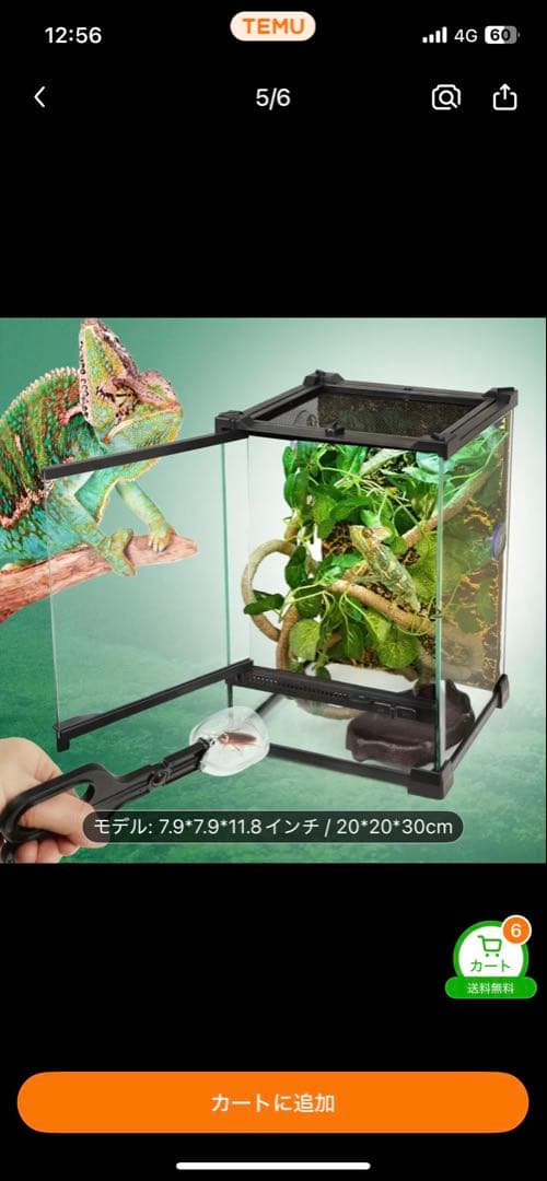 爬虫類・両生類飼育用ガラスケース 20*20*30cm